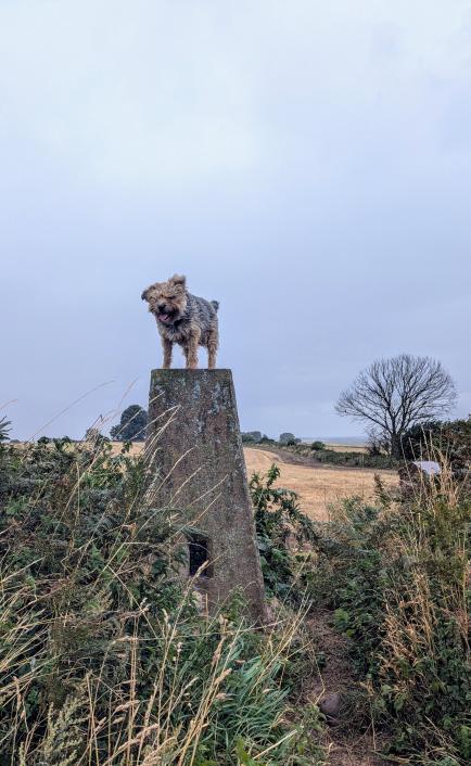 T:UK - Trigpointing information