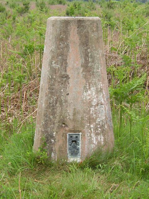 T:UK - Wangford Warren