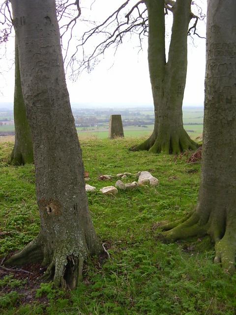 T:UK - Brightwell Barrow