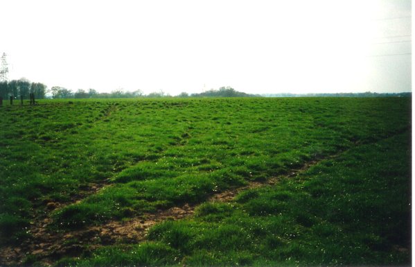 T:UK - Eardswick Hall