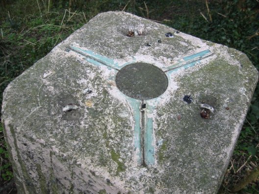 T:UK - Fort Farningham