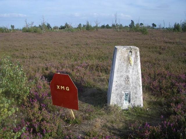T:UK - Pirbright Common