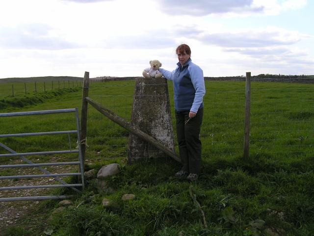 T:UK - Crina Bottom Farm