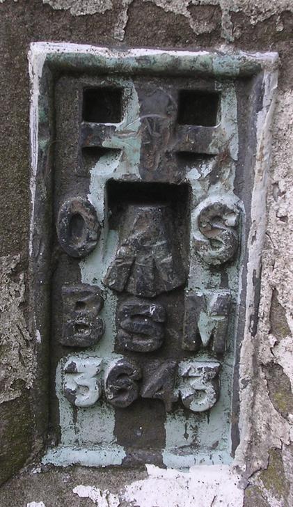 T:UK - High Possil Wood