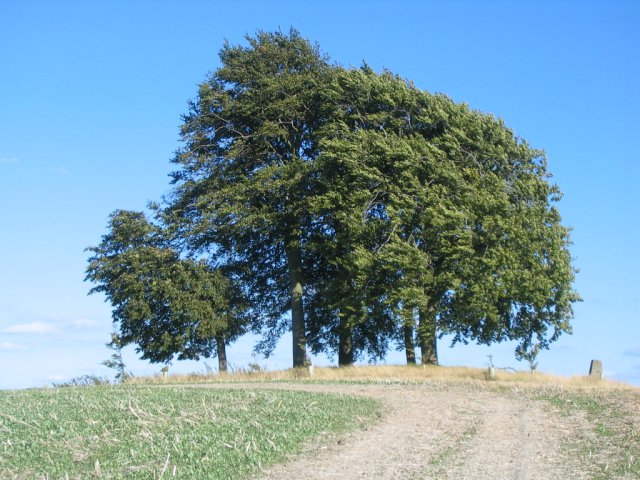 T:UK - Brightwell Barrow