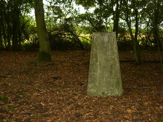 T:UK - G Spinney Field