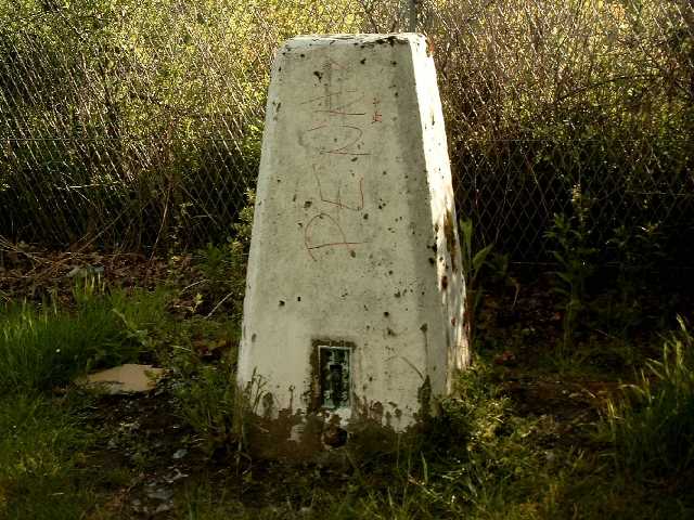 T:UK - High Possil Wood