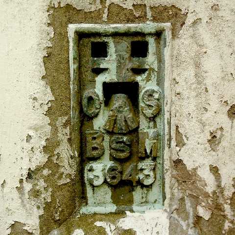 T:UK - High Possil Wood