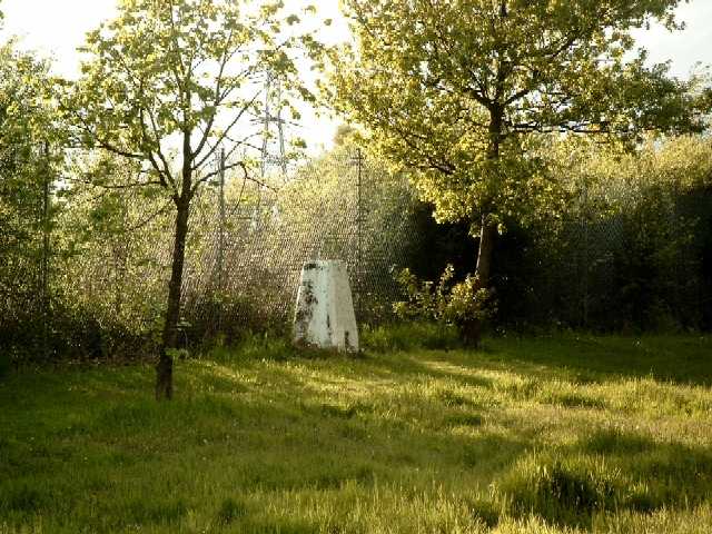 T:UK - High Possil Wood