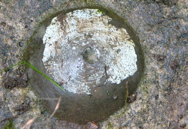 T:UK - M56 Junction 5