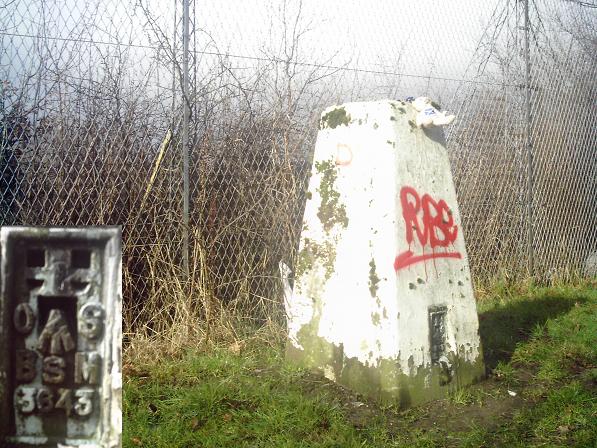 T:UK - High Possil Wood