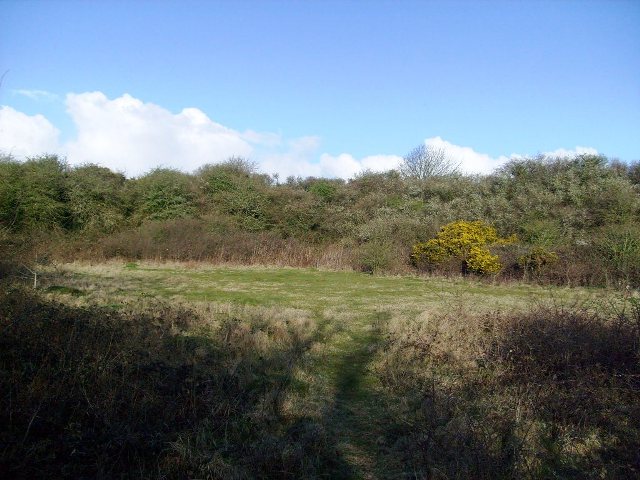 T:UK - Fort Scoveston