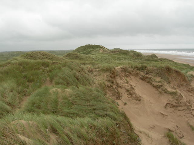 T:UK - Kenfig Burrows
