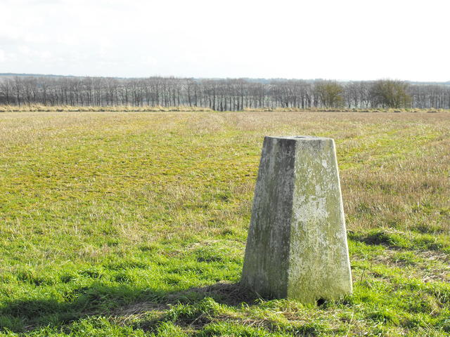 T:UK - Codford Circle