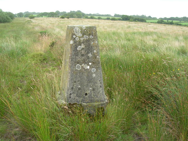 T:UK - Witheridge Moor