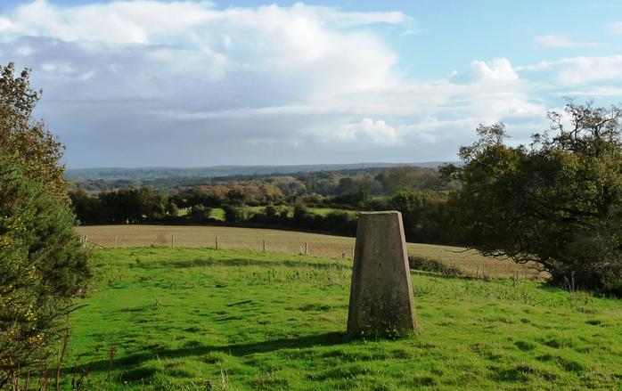 T:UK - Damerham Knoll