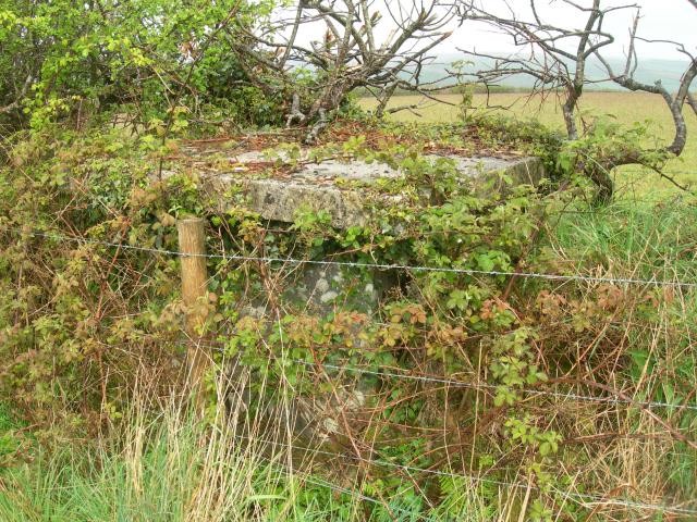 T:UK - Castle Canyke