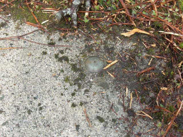 T:UK - Castle Canyke