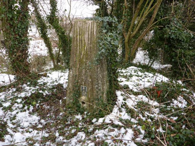 T:UK - Fort Farningham