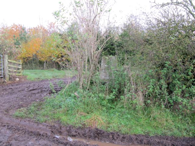 T:UK - Maughonby Farm