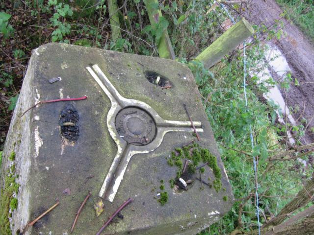 T:UK - Maughonby Farm