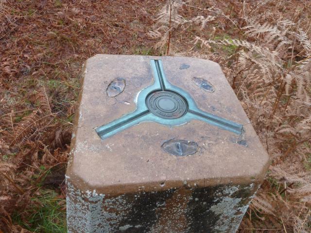 T:UK - Wangford Warren