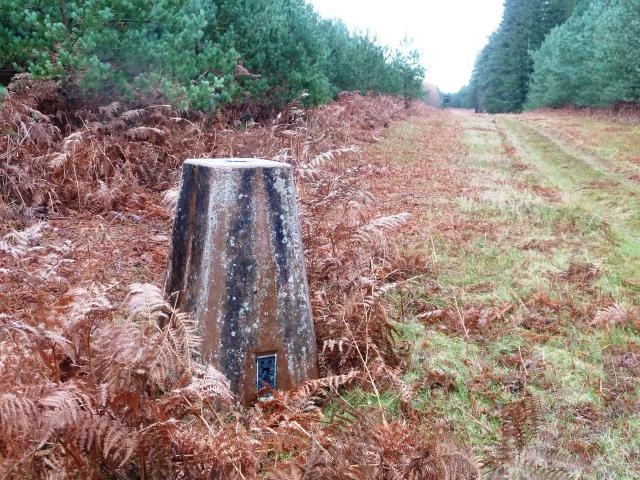 T:UK - Wangford Warren