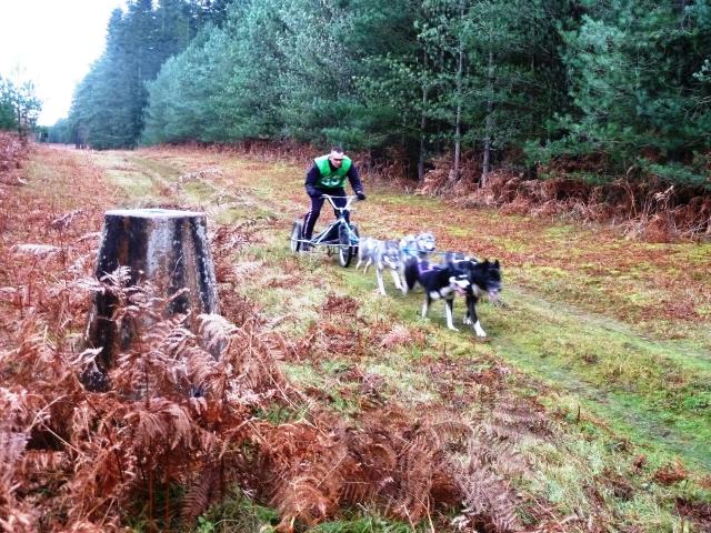 T:UK - Wangford Warren