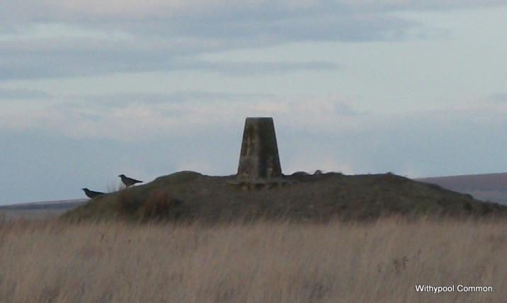 T:UK - Withypool Common