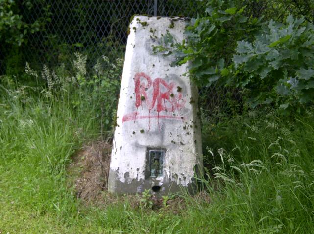 T:UK - High Possil Wood