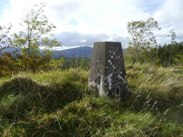 T:UK - Greystoke Park