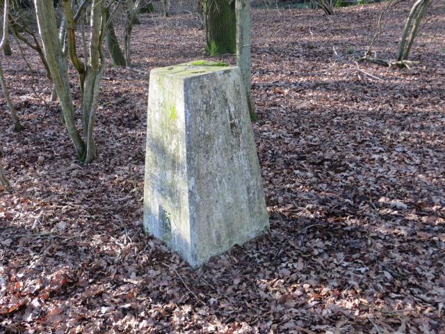 T:UK - G Spinney Field