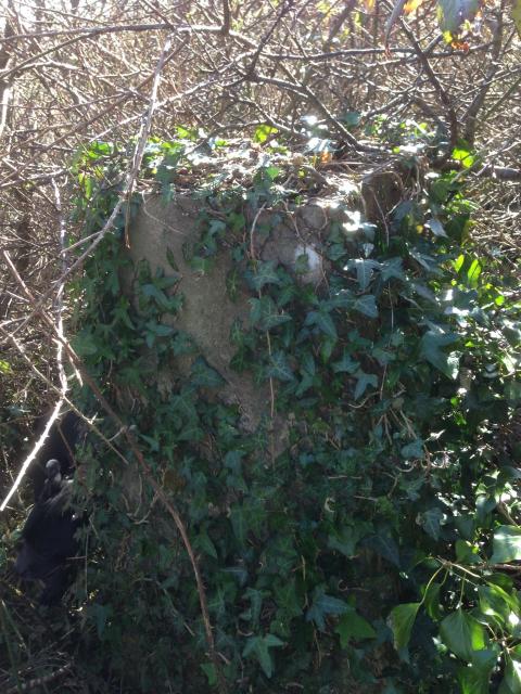 T:UK - Fort Scoveston