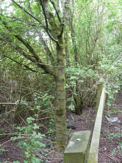 T:UK - Ashurst Bridge Road