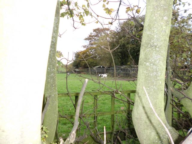 T:UK - RAF Croft Cinema