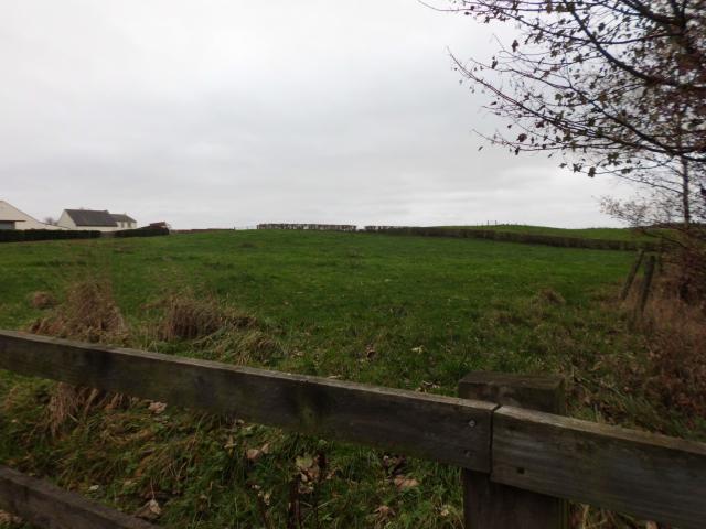 T:UK - Highgate Farm