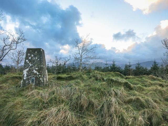 T:UK - Greystoke Park