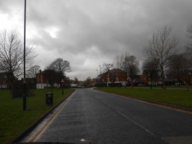 T:UK - Winwick Asylum Tower Vane