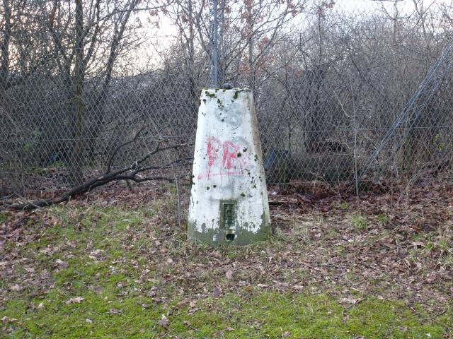 T:UK - High Possil Wood