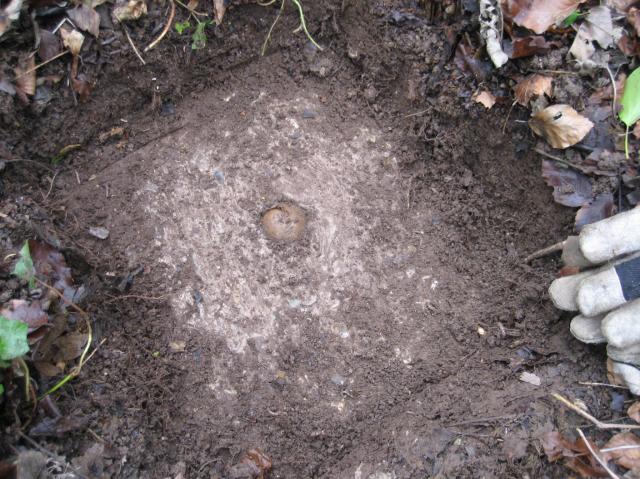 T:UK - Chalk Pit Harnham