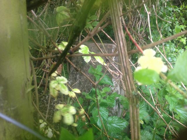 T:UK - Fort Farningham