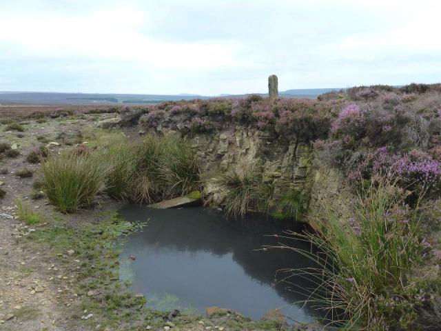 T:UK - Snilesworth Moor