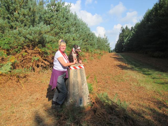 T:UK - Wangford Warren