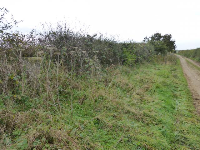 T:UK - Brancaster Field