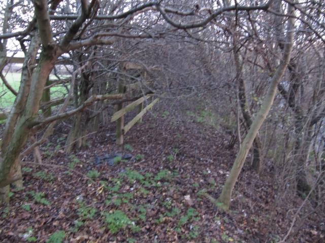 T:UK - Barbot Hall Farm