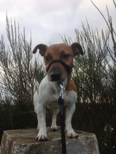 T:UK - Mains Of Tannachy