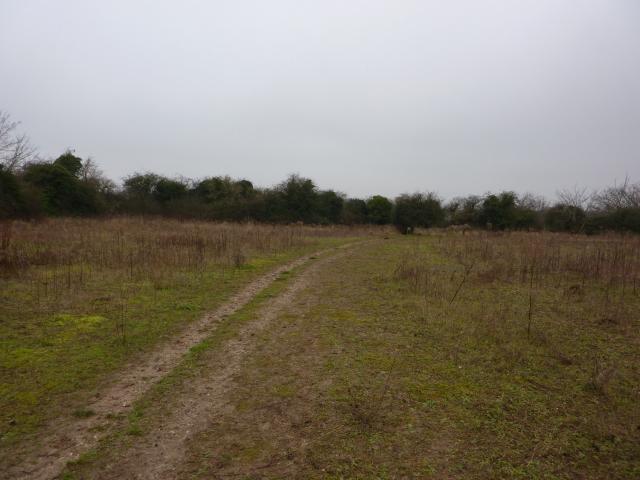 T:UK - Bishops Down Farm