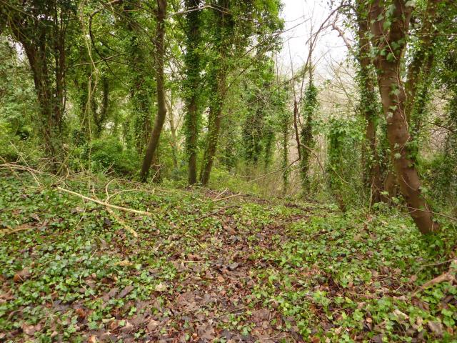T:UK - Chalk Pit Harnham