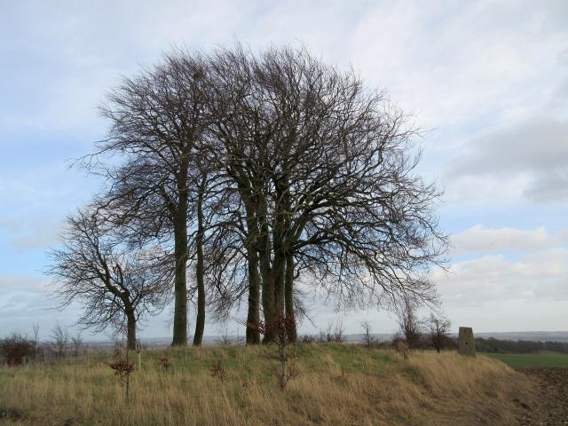 T:UK - Brightwell Barrow