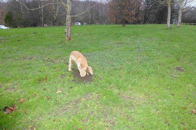 T:UK - Hafod Colliery Baths Tower